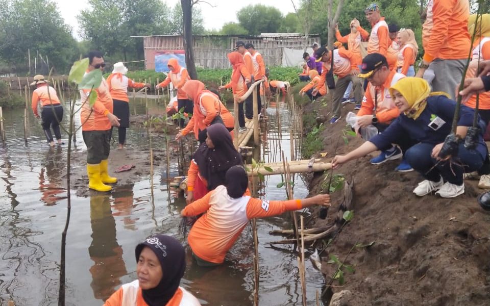 Palaga Bagikan Sembako dan Tanam Pohon Mangro – JurnalJakarta.com